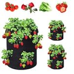 How to Start a Container Garden for Beginners: Ultimate Gardening Guide ...