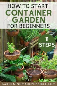How to Start a Container Garden for Beginners: Ultimate Gardening Guide ...