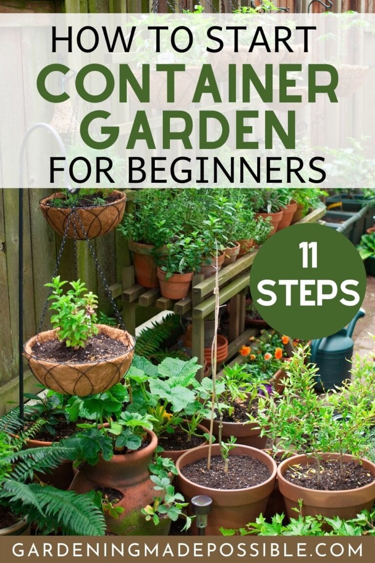 How to Start a Container Garden for Beginners: Ultimate Gardening Guide ...